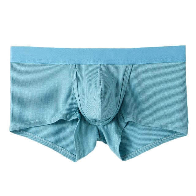 Separating Leisure Trunks – Modern Undies